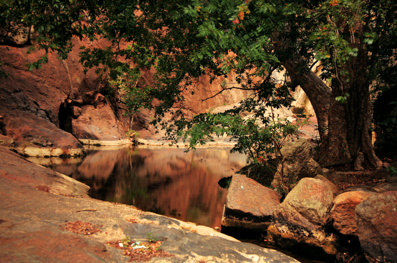 Tamilnadu Tourism: Javadi Hills, Thiruvannamalai