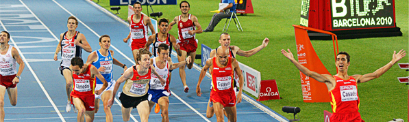 Basic Training Principles now available in print at locally-owned ...