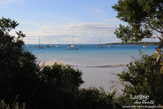 Larose des vents: Black Point et Great Guana Cay