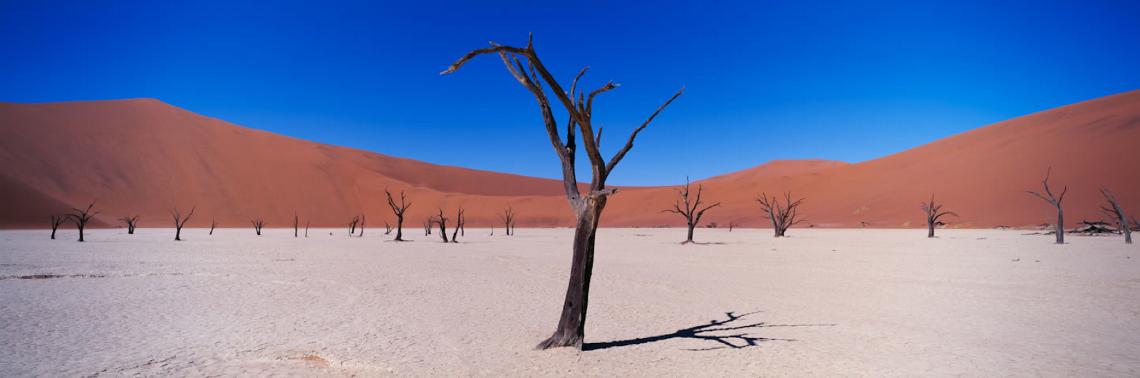 Colin Prior - THE BEST BEACH