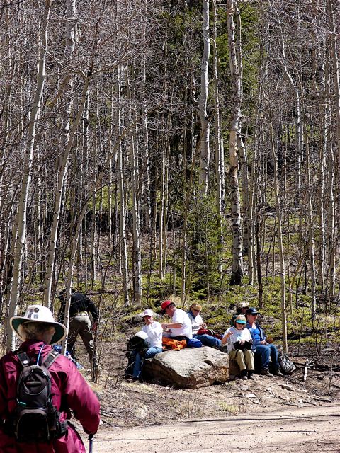 Silverthread Outdoor Recreational Club: Hiking the Agua Ramon Road