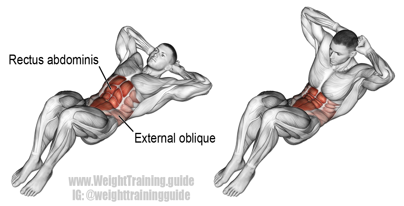 Abs Workouts For The Gym: Circuits for Upper Abs, Lower Abs, and ...