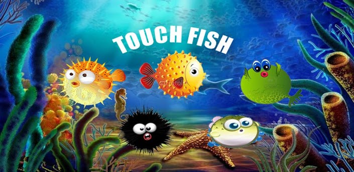Katty Technology: Touch Fish