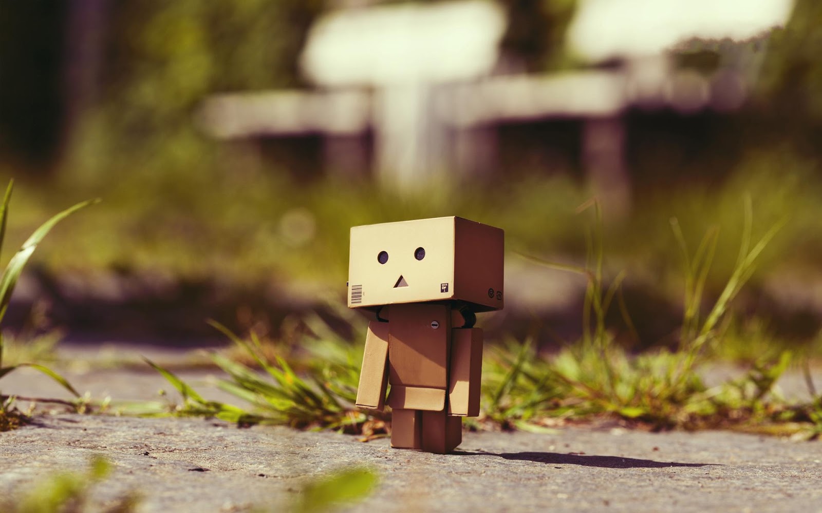 Cute Little Box iPhone Wallpapers - Stylish Dp's
