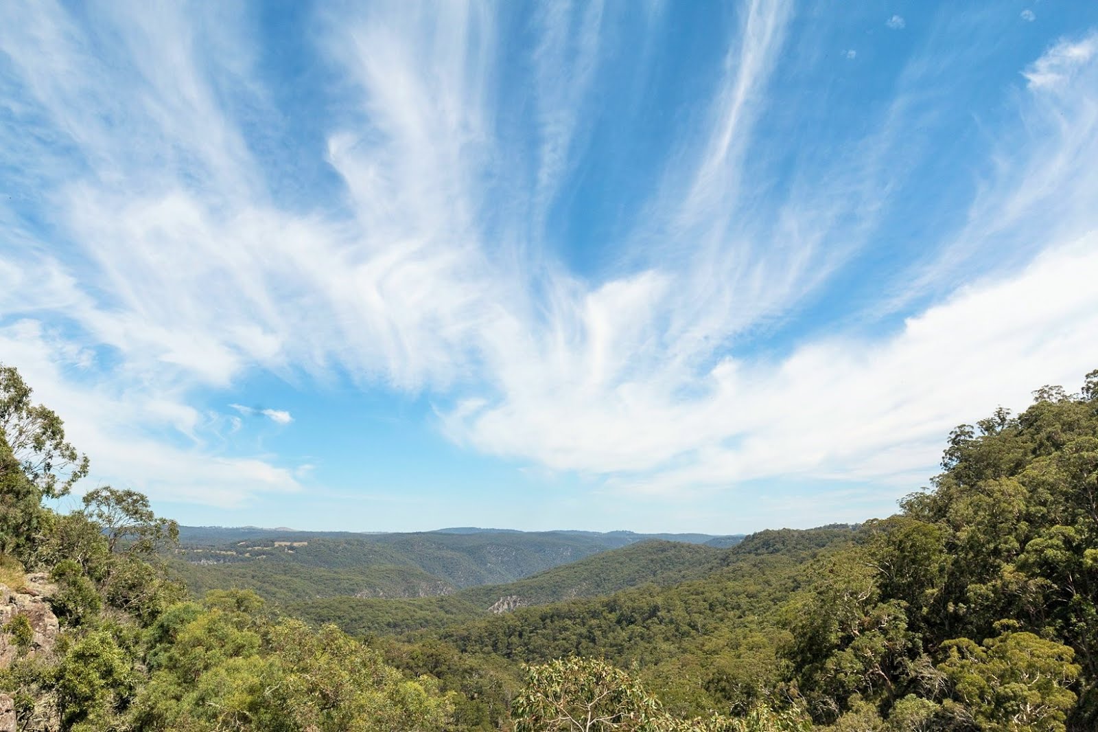 National Park Odyssey: Ebor Falls, Guy Fawkes River National Park, NSW.