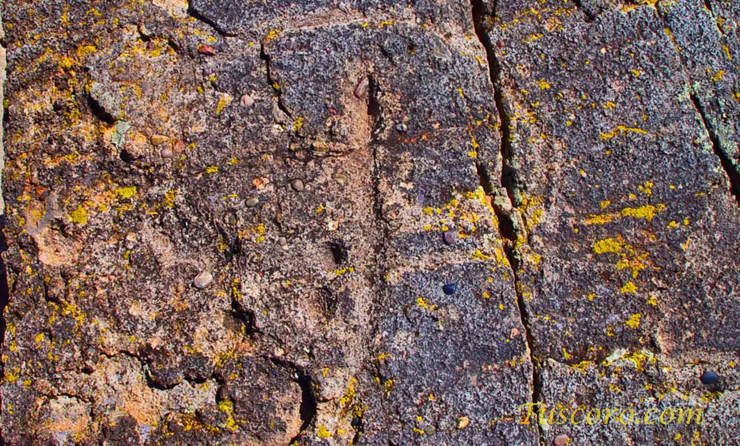 Tuscoro: Aztec Navigation Glyph (Key Glyph)