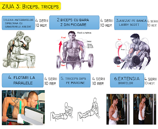 Sala de forta - exercitii , programe , alimentatie: Antrenament sala