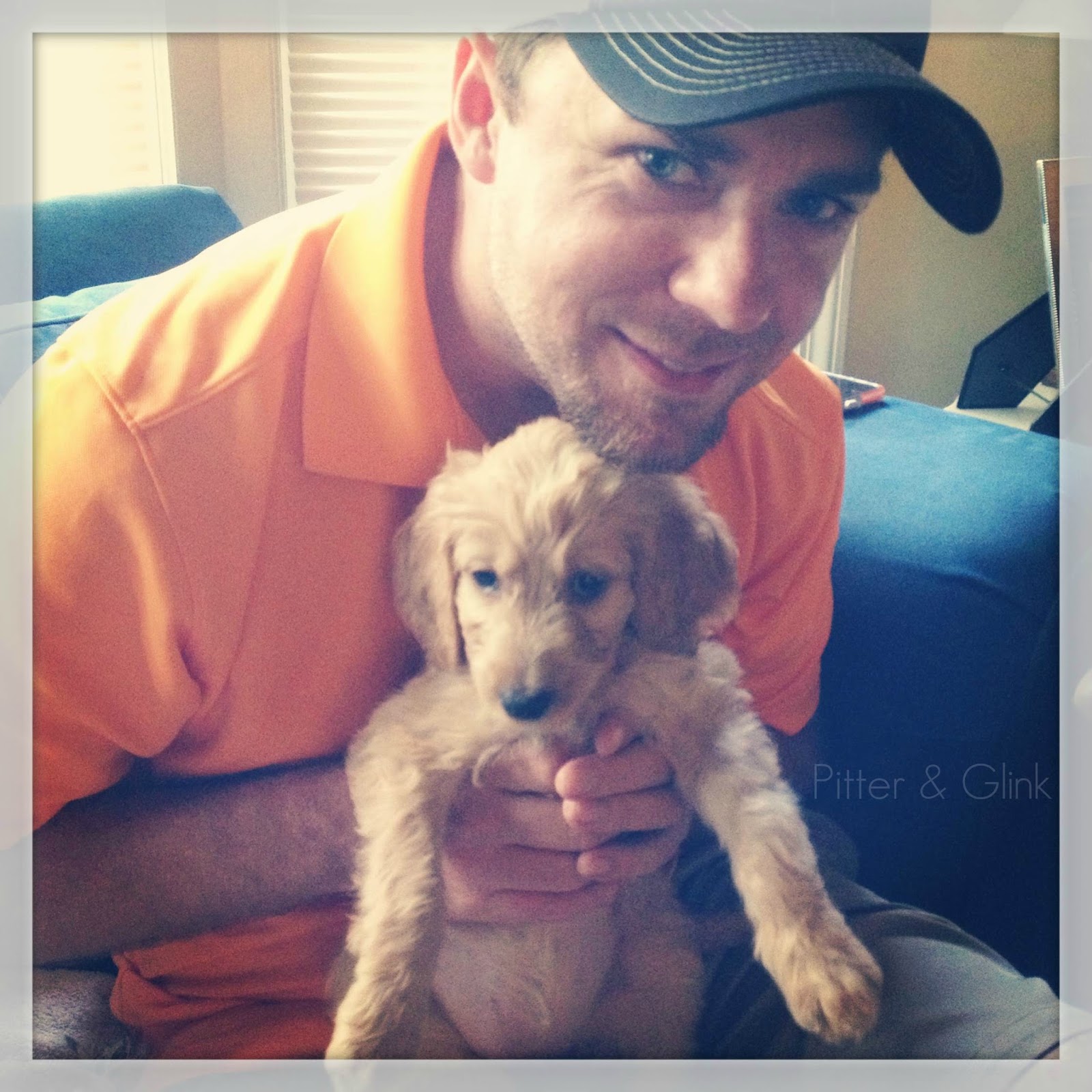 PitterAndGlink: {Meet Daisy Doodle}