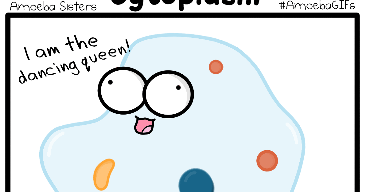 Fiona's 7th Grade Class: Plant vs. Animal Cells