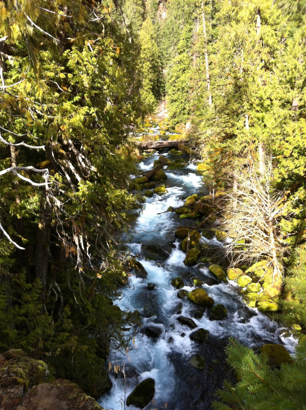 Tamolitch Pool Nature Hike - Eva Varga