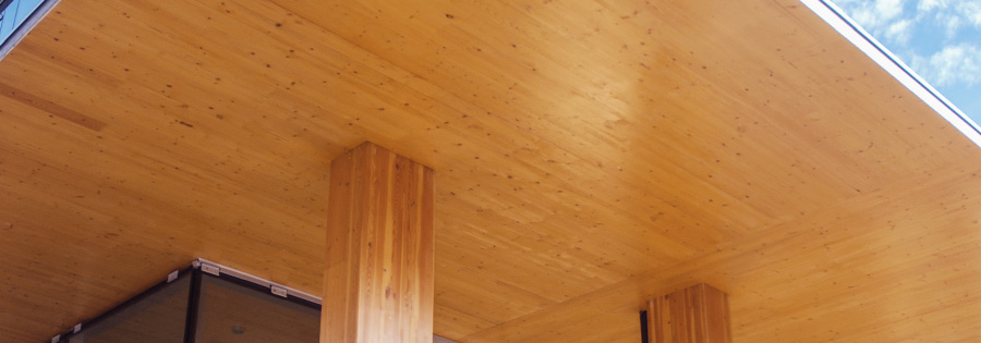 SW Oregon Architect: CLT Road Trip