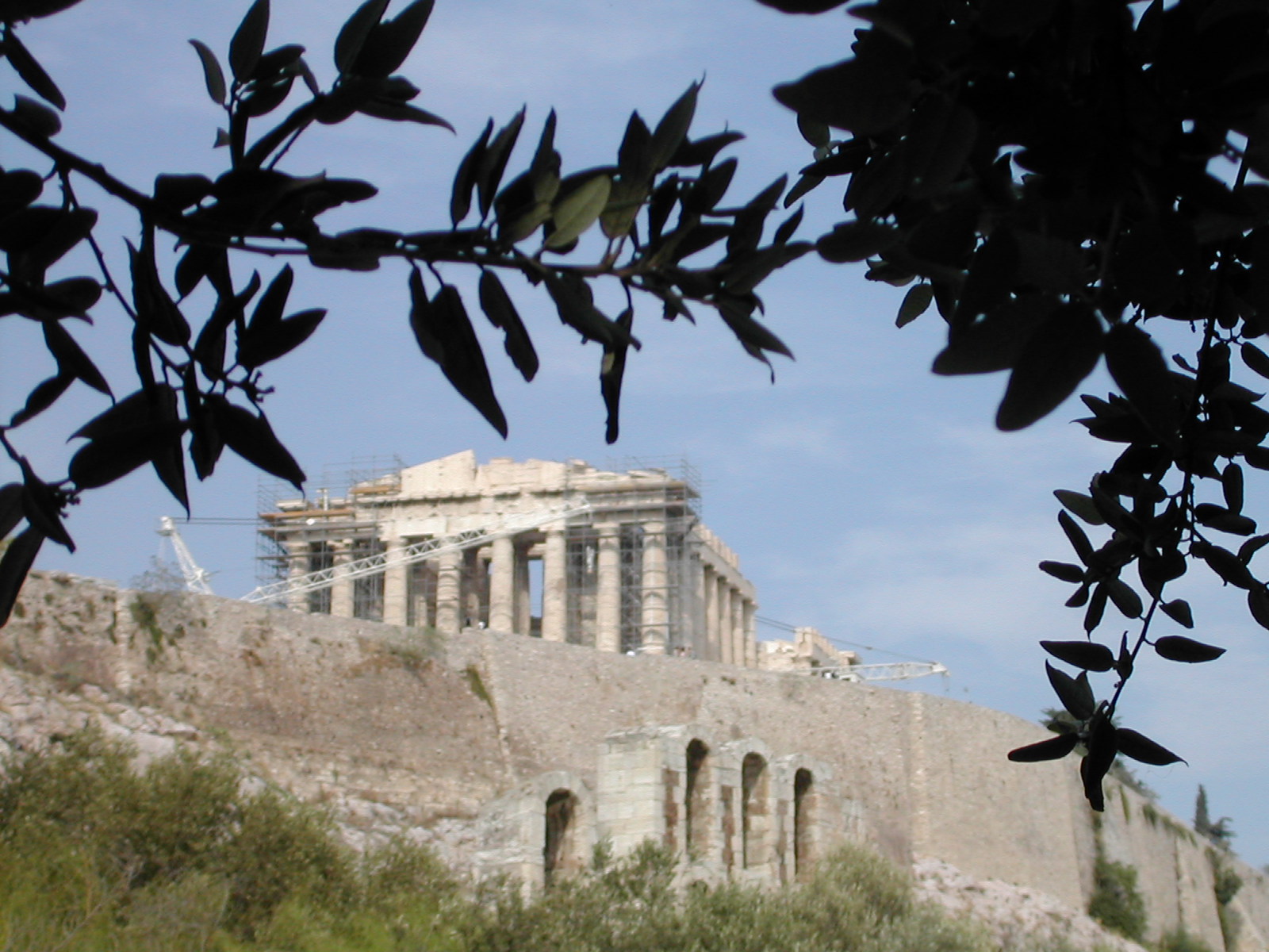 Cannella e Melograno: La grande forza dei nostri fratelli greci/The ...