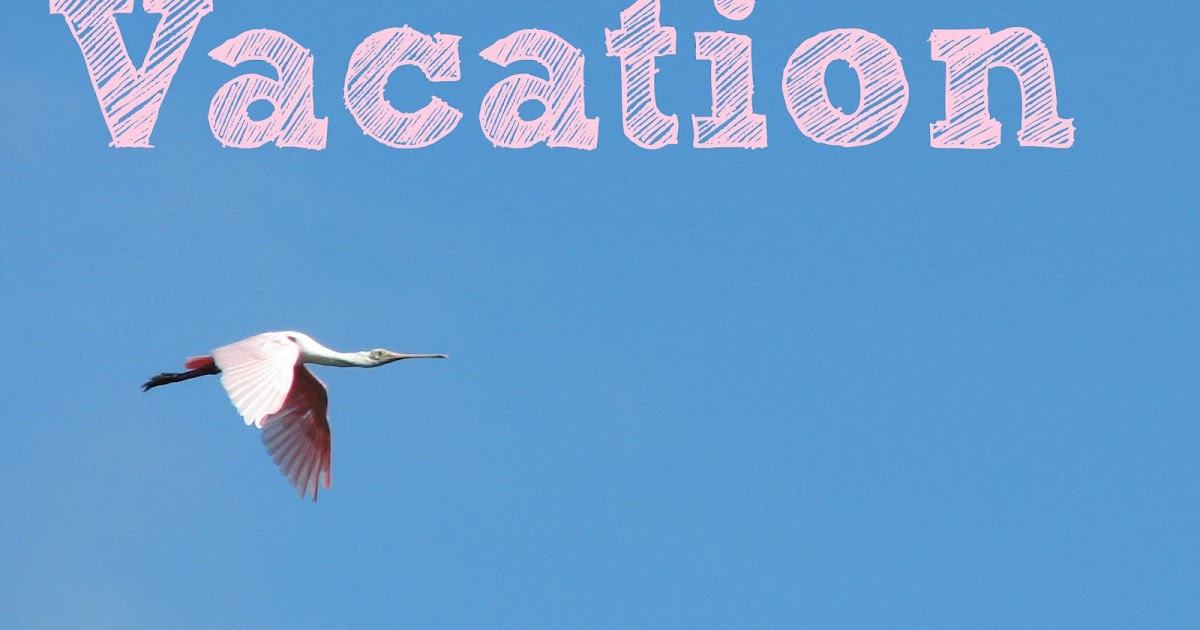 Home Sweet Life: Vacation