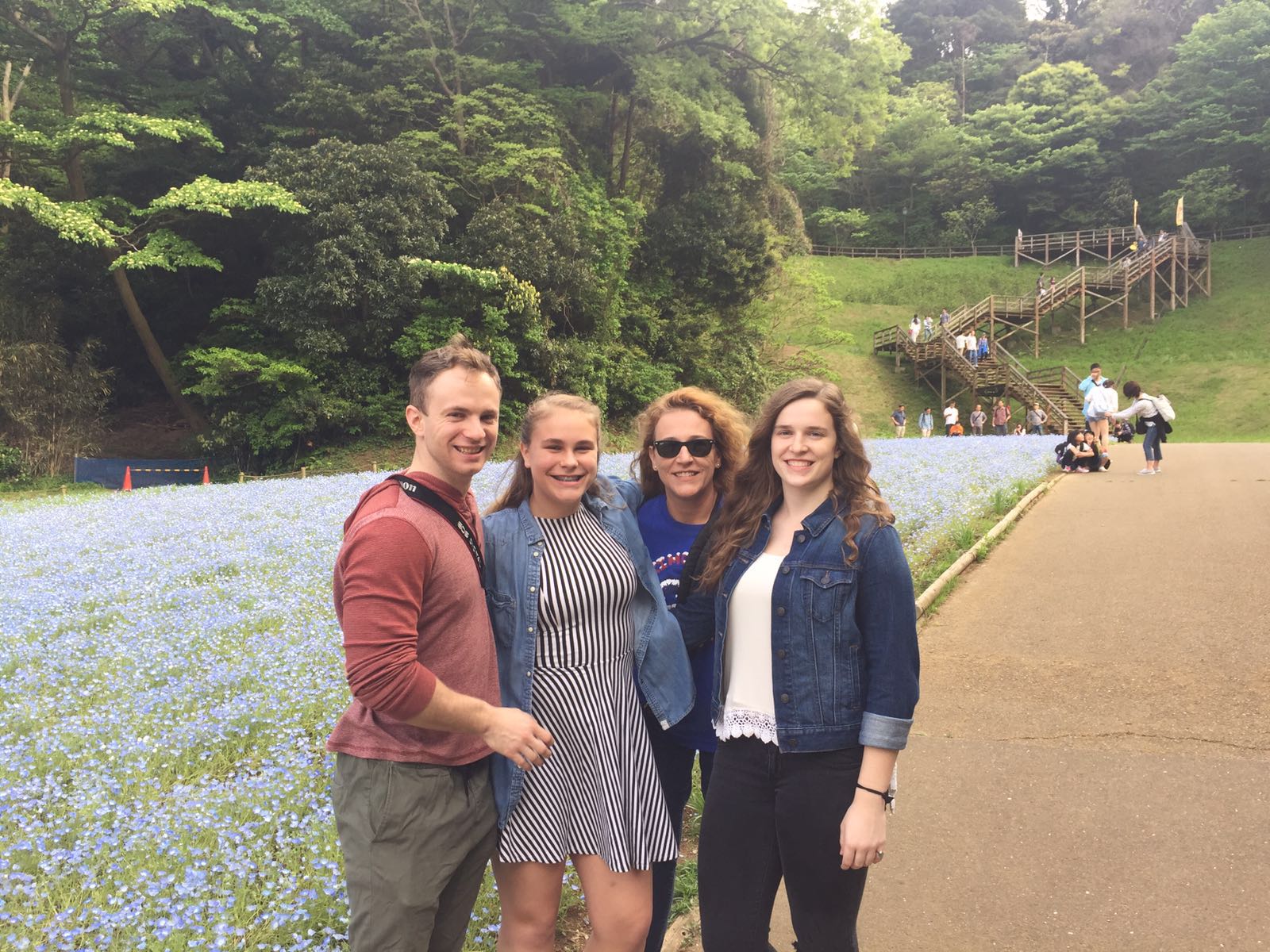 thatsthewayiblog: Japanese Bluebonnets