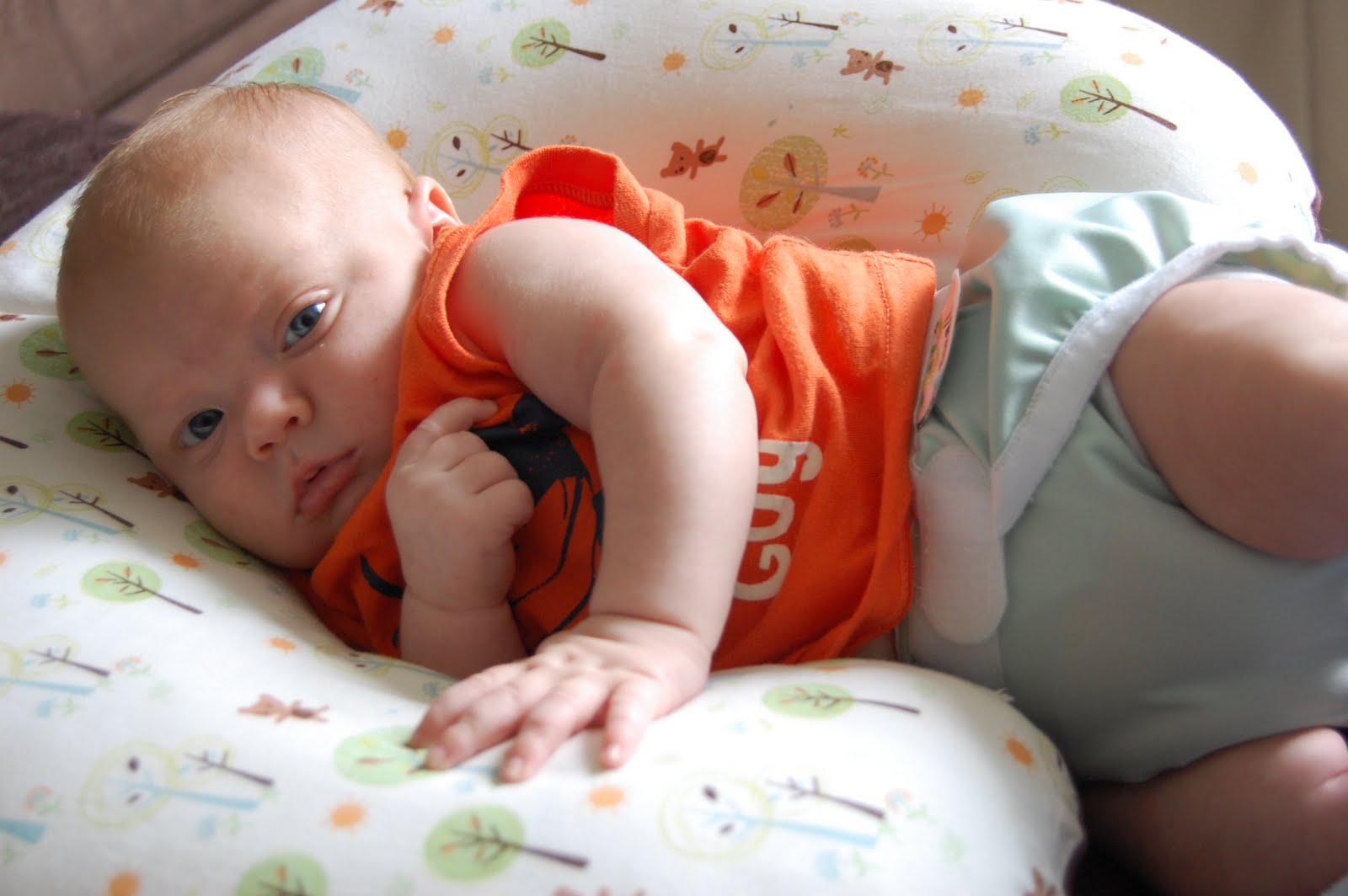 Welcome to my (Cloth Diaper) World: Diaper Reviews