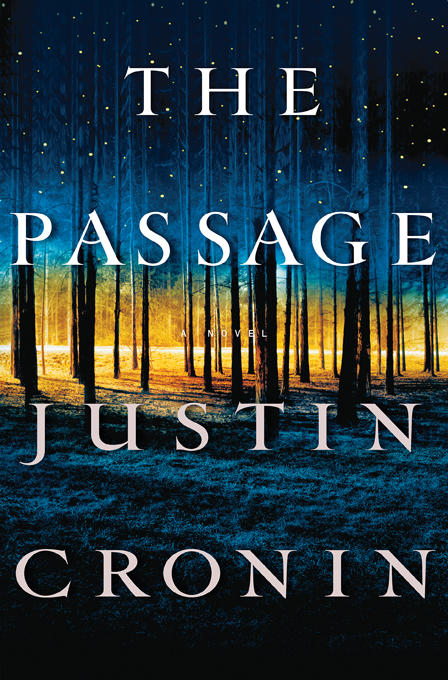 a bookworm and a baby: the passage