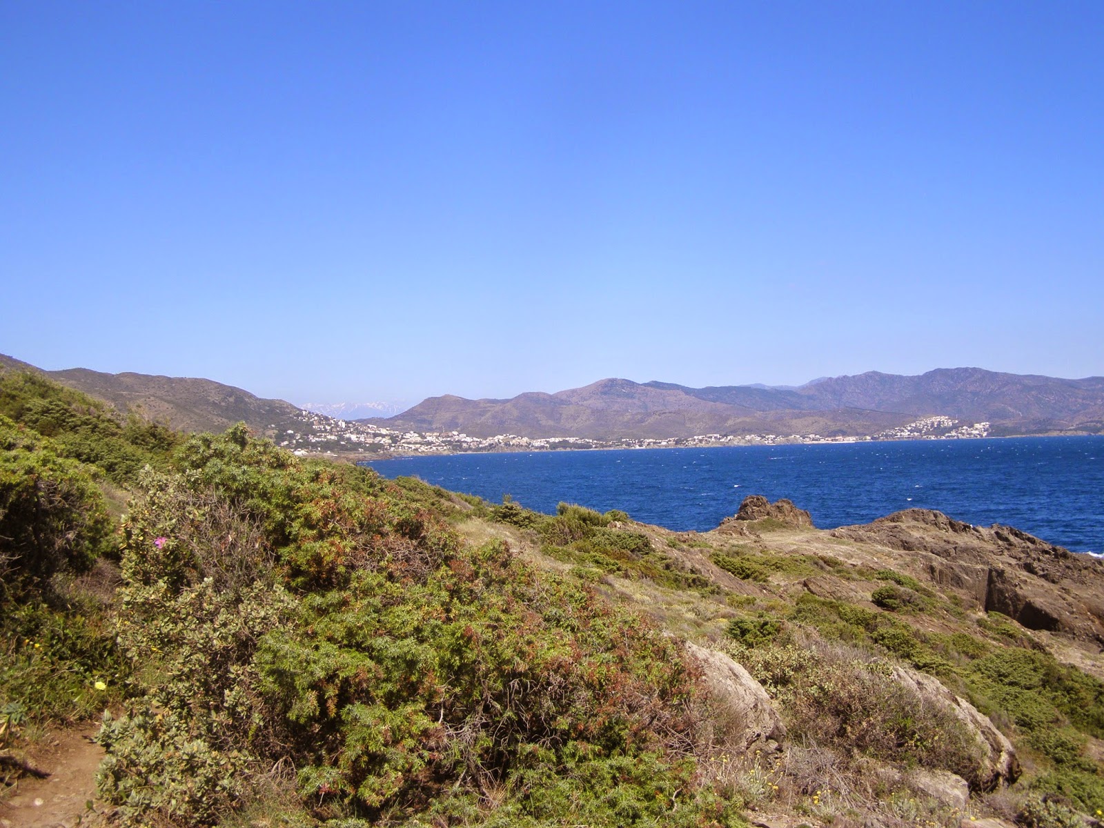 Senders i natura: 17-05-2014 Port de la Selva- Cala Tamariua - Cala ...