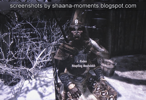 shaana: The Elder Scrolls 5 - Skyrim - Ansilvund