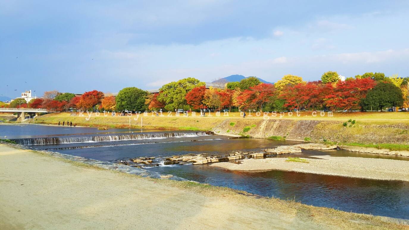 Life Is Beautiful.: AUTUMN IN KYOTO 2014 - Kamogawa River (Photo Gallery)