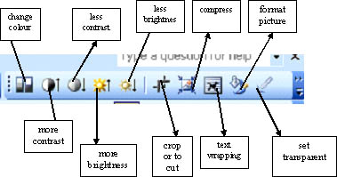 Beginners Online tutorial to Learn Computer, Ms-word perfectly with ...