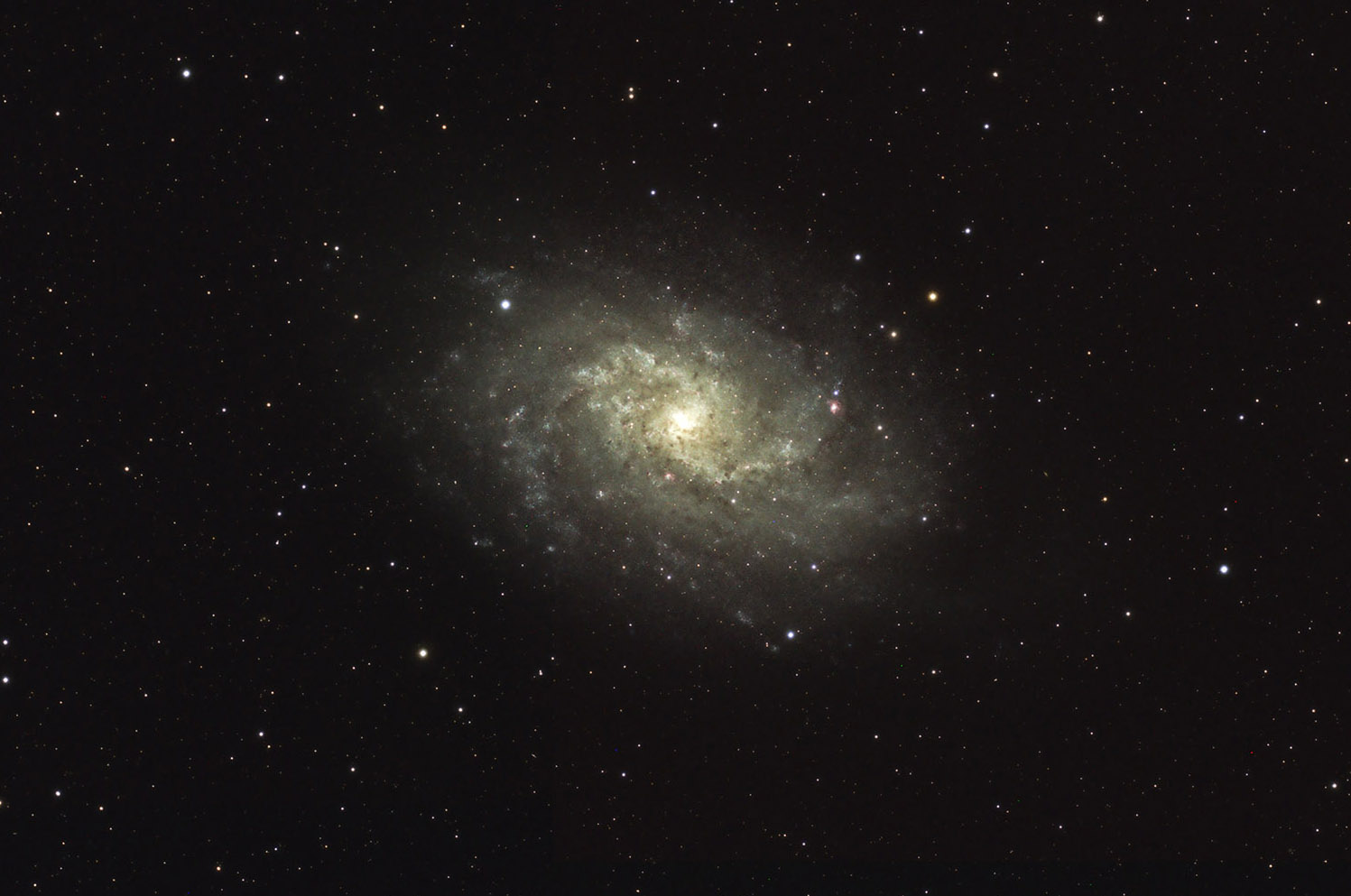 Amateurastrofotographie: M33 mit ASI071MCPRO