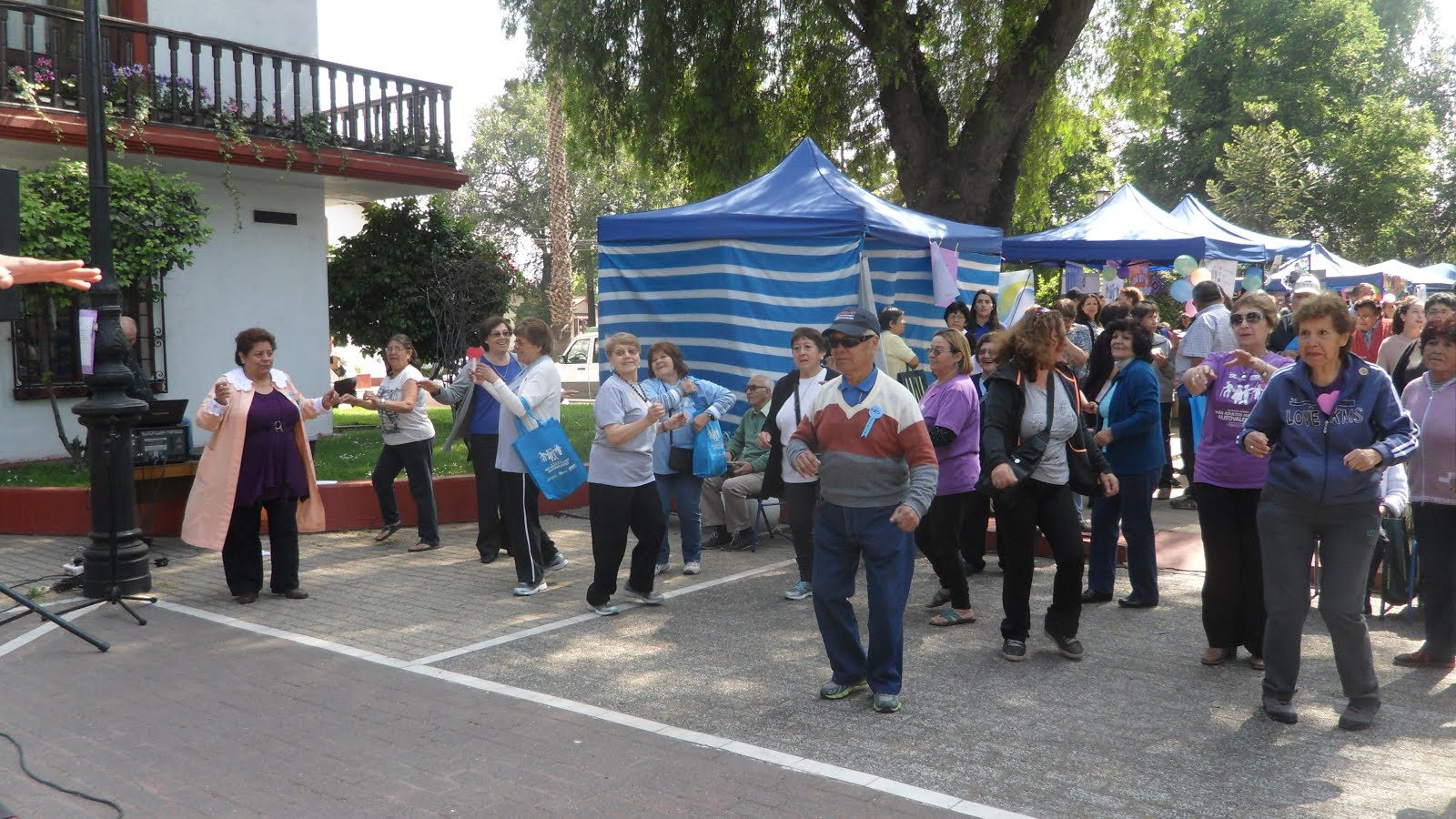 Centro de Salud Familiar Garín: EXPO-FERIA ADULTO MAYOR QUINTA NORMAL