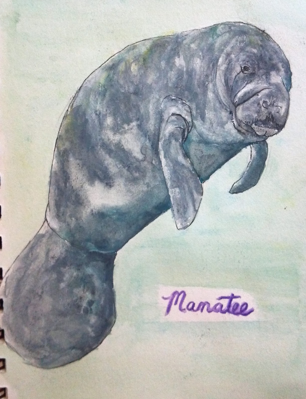 Watercolor Crayons: Caran D'ache Neocolor II