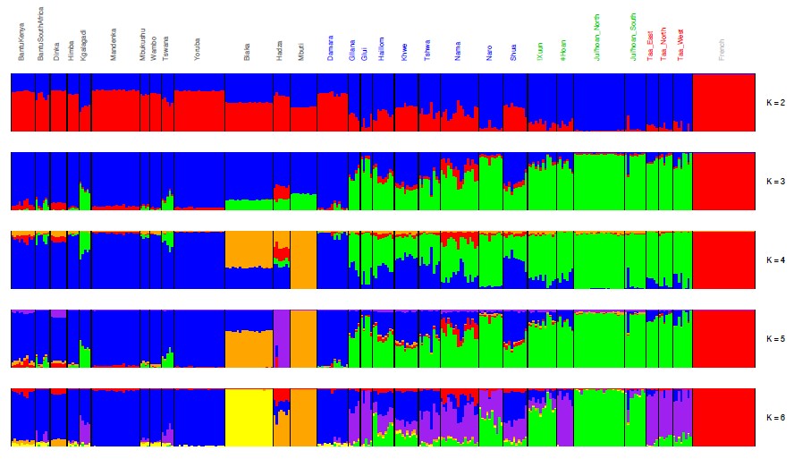 Dienekes’ Anthropology Blog: Khoisan genetic prehistory (Pickrell et al ...