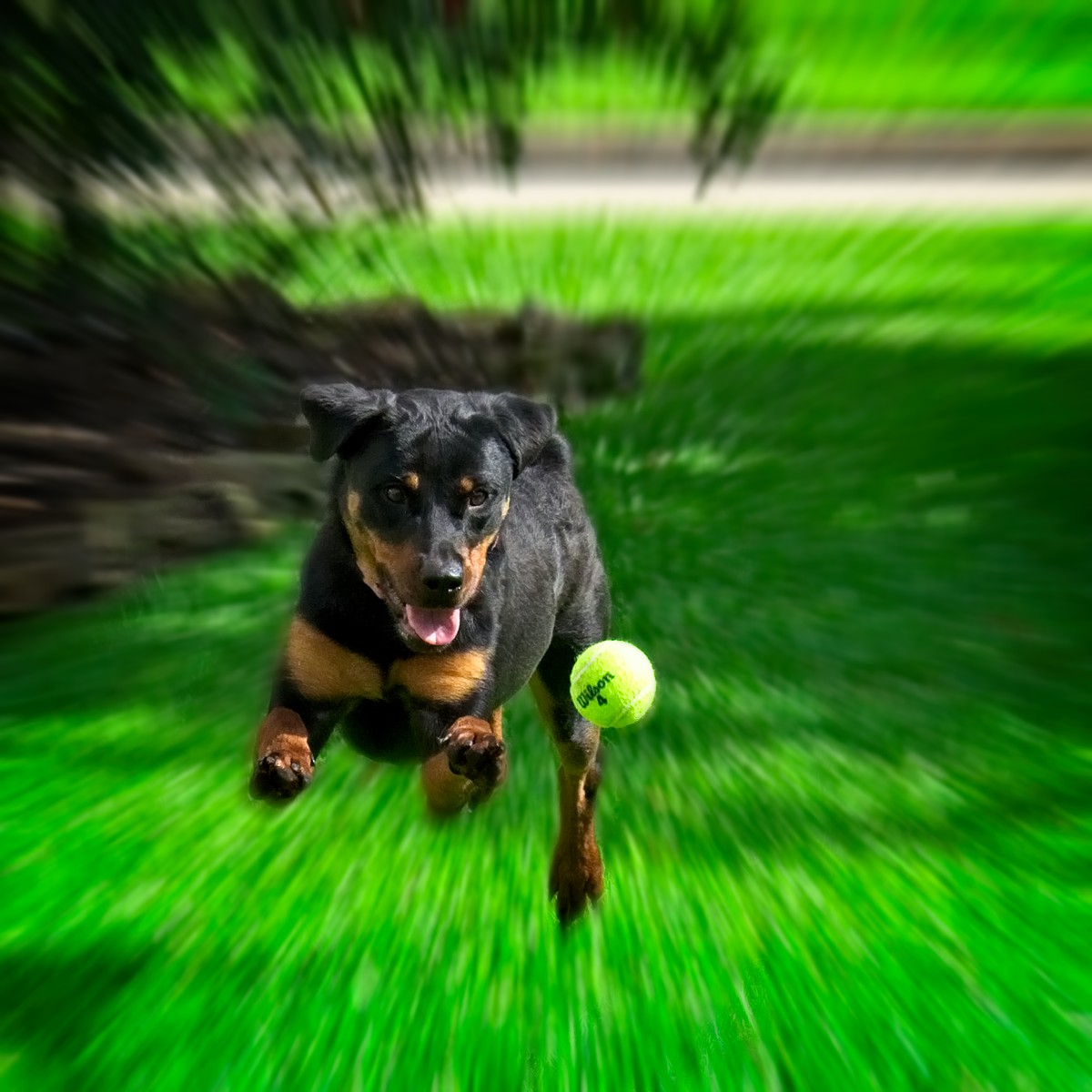 A User experience of the Pro capture (ProCap) Mode in Olympus OMD Em1 MII