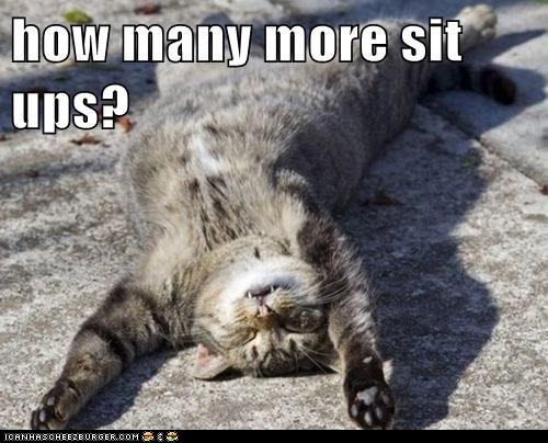 Cardio Trek - Toronto Personal Trainer: Hot Tip: Sit Ups Humour