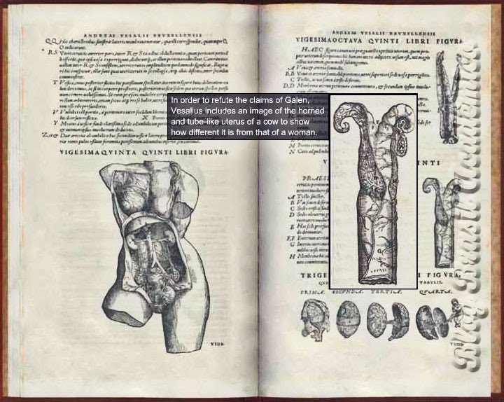 Tradução de livro de anatomia que levou 20 anos | Brasil Acadêmico Draft