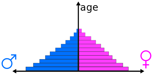 Population pyramid