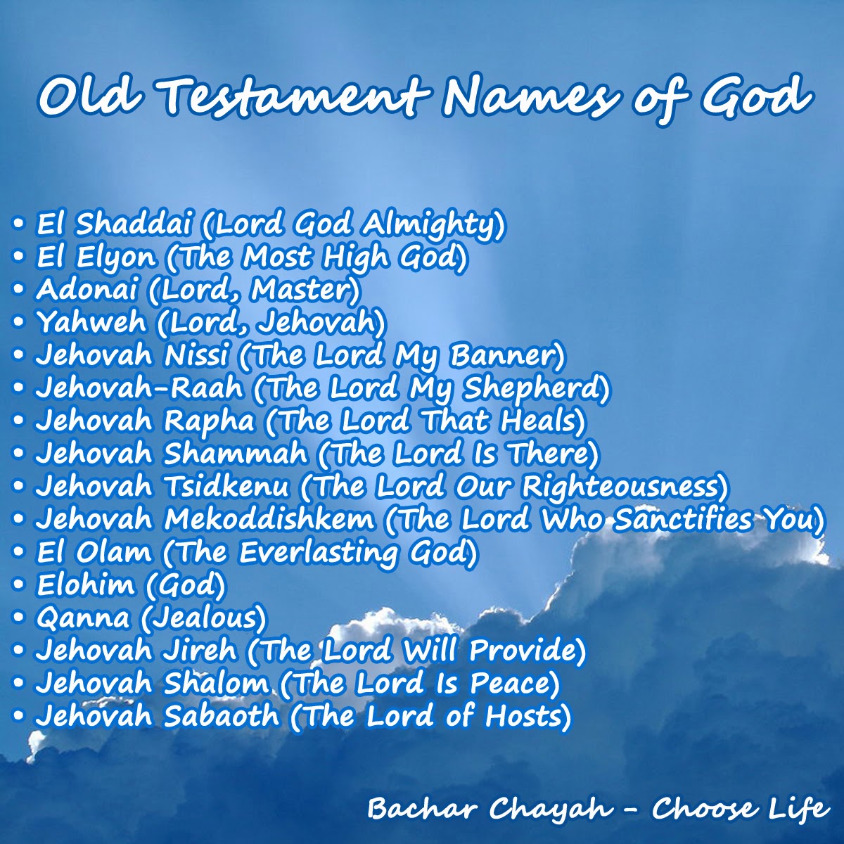 Bachar Chayah - Choose Life