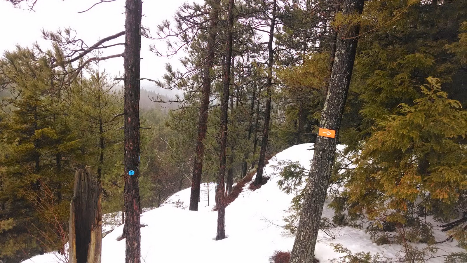 Off on Adventure: Thomas Mountain - Bolton, NY - 3/30/14