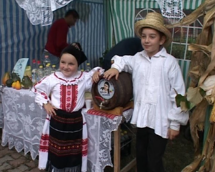 PALINCA TRAMUTA BIHOR: Articole media