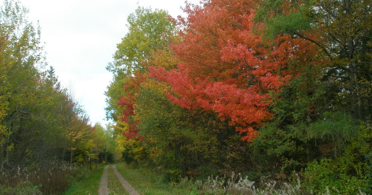 Pedaling PEI: Hunter River