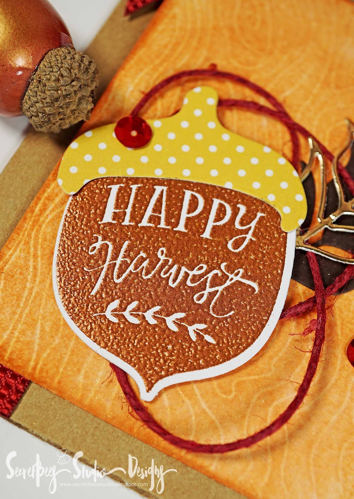 Secretbees Studio: Acorn Notes!