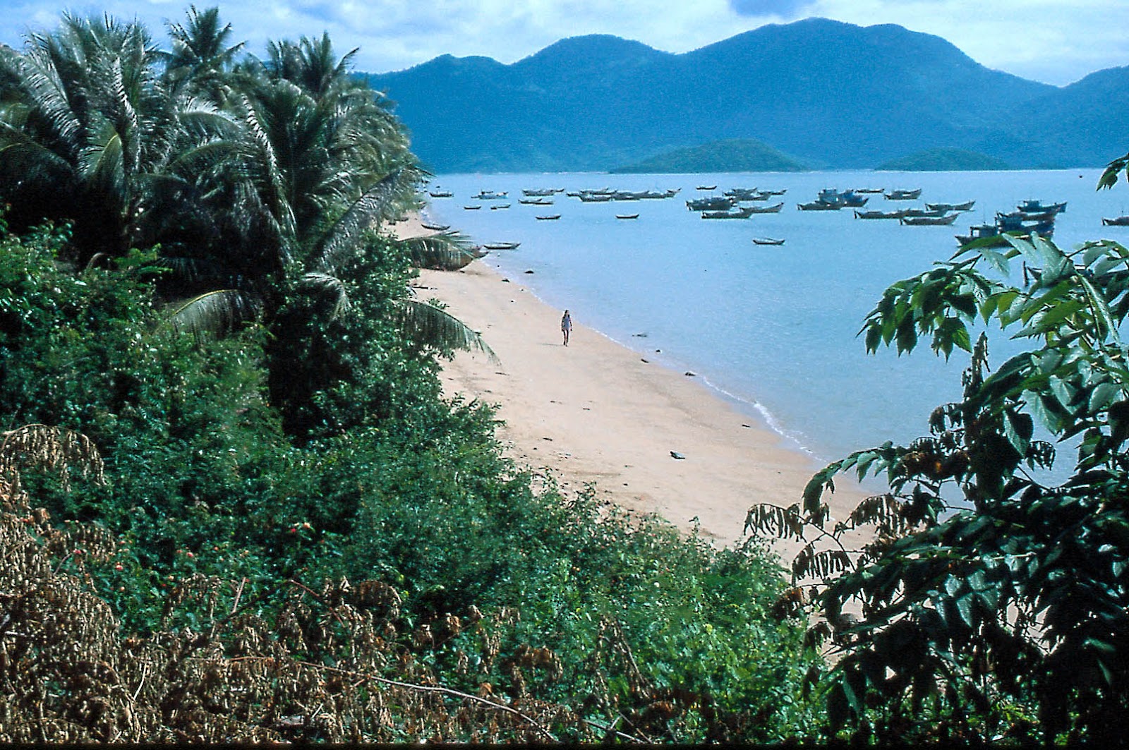 About Holiday. World travel guide by local experts.: Vietnam