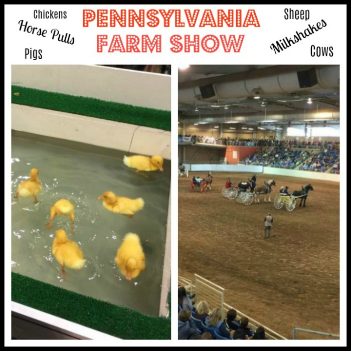 Pennsylvania & Beyond Travel Blog: The Annual Pennsylvania Farm Show in ...