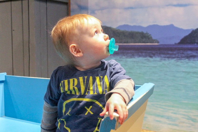 (Bee)autiful Blessings: Our Trip to the Boonshoft Museum of Discovery ...