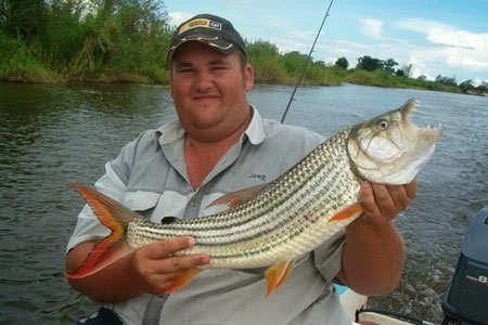 News from Southern Africa & Namibia: Namibia: update from Kalizo Lodge ...