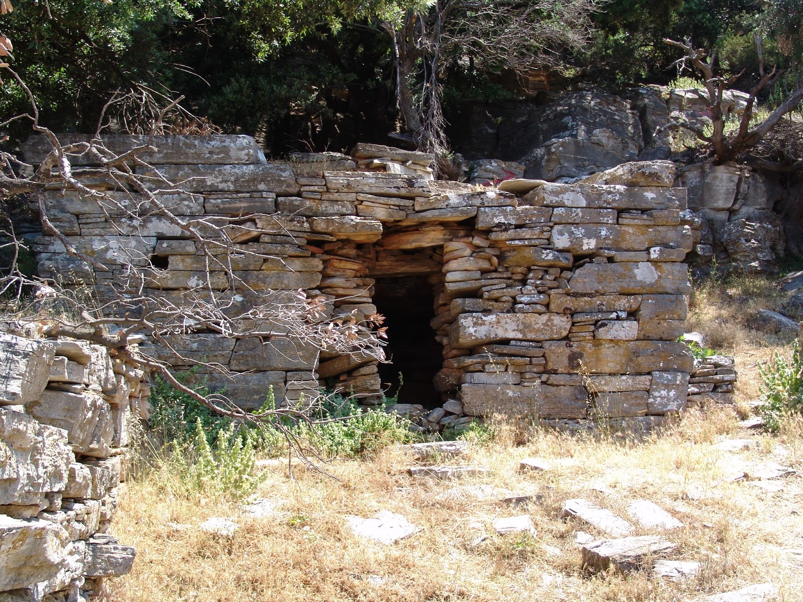 Ο ΚΟΣΜΟΣ ΚΑΙ Η ΕΥΒΟΙΑ: 19. ΔΡΑΚΟΣΠΙΤΑ: Ο ΜΕΓΑΛΟΣ ΓΡΙΦΟΣ ΤΩΝ ΕΡΕΥΝΗΤΩΝ