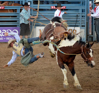 Random Images from a Nightowl: Reno Rodeo June 22, 2011