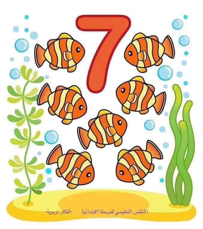 Números Cards coloridos e ilustrados dos números... - ATIVIDADES ANOS ...