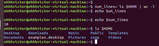 Shell Scripting 2- Linux variables - Linux