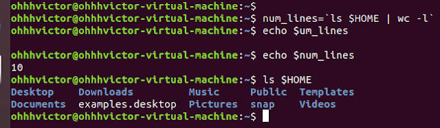 Shell Scripting 2- Linux variables - Linux