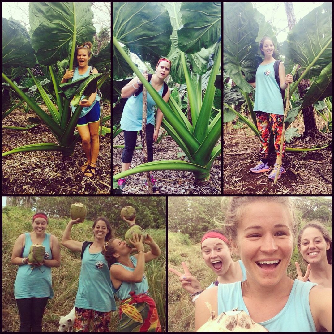 So Longa to Tonga: Update on Life in Tonga