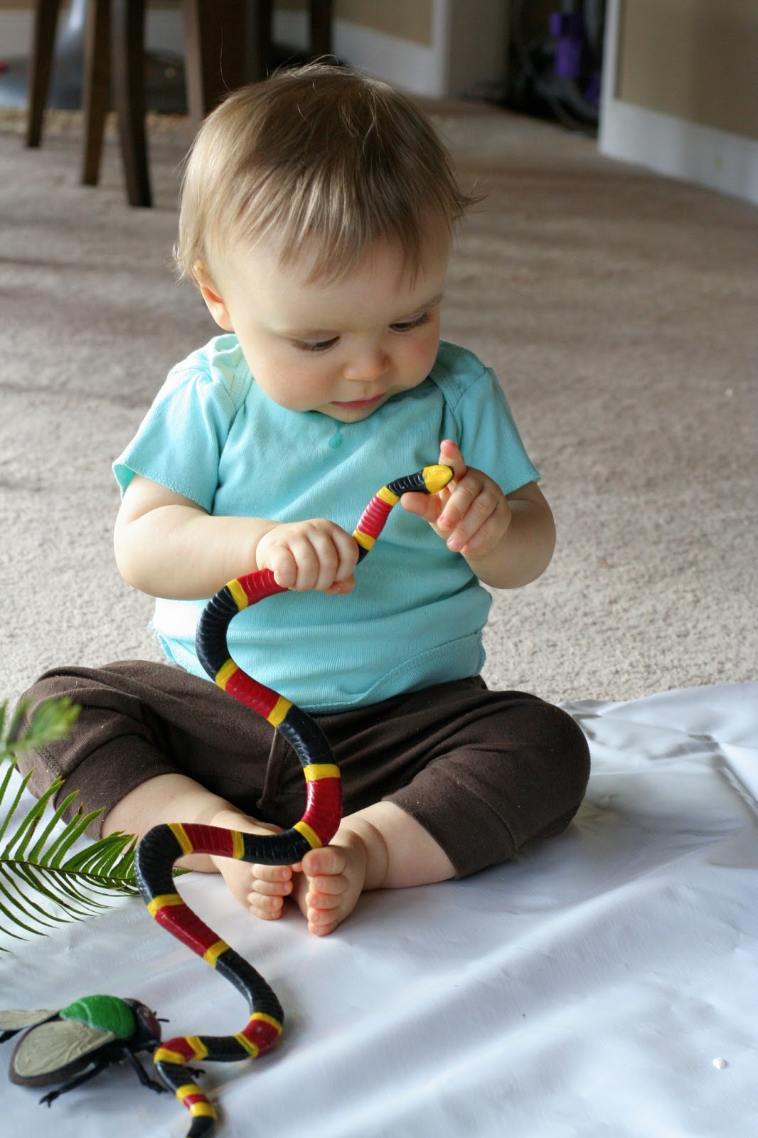 Small World Floor Play: Nature and Insects