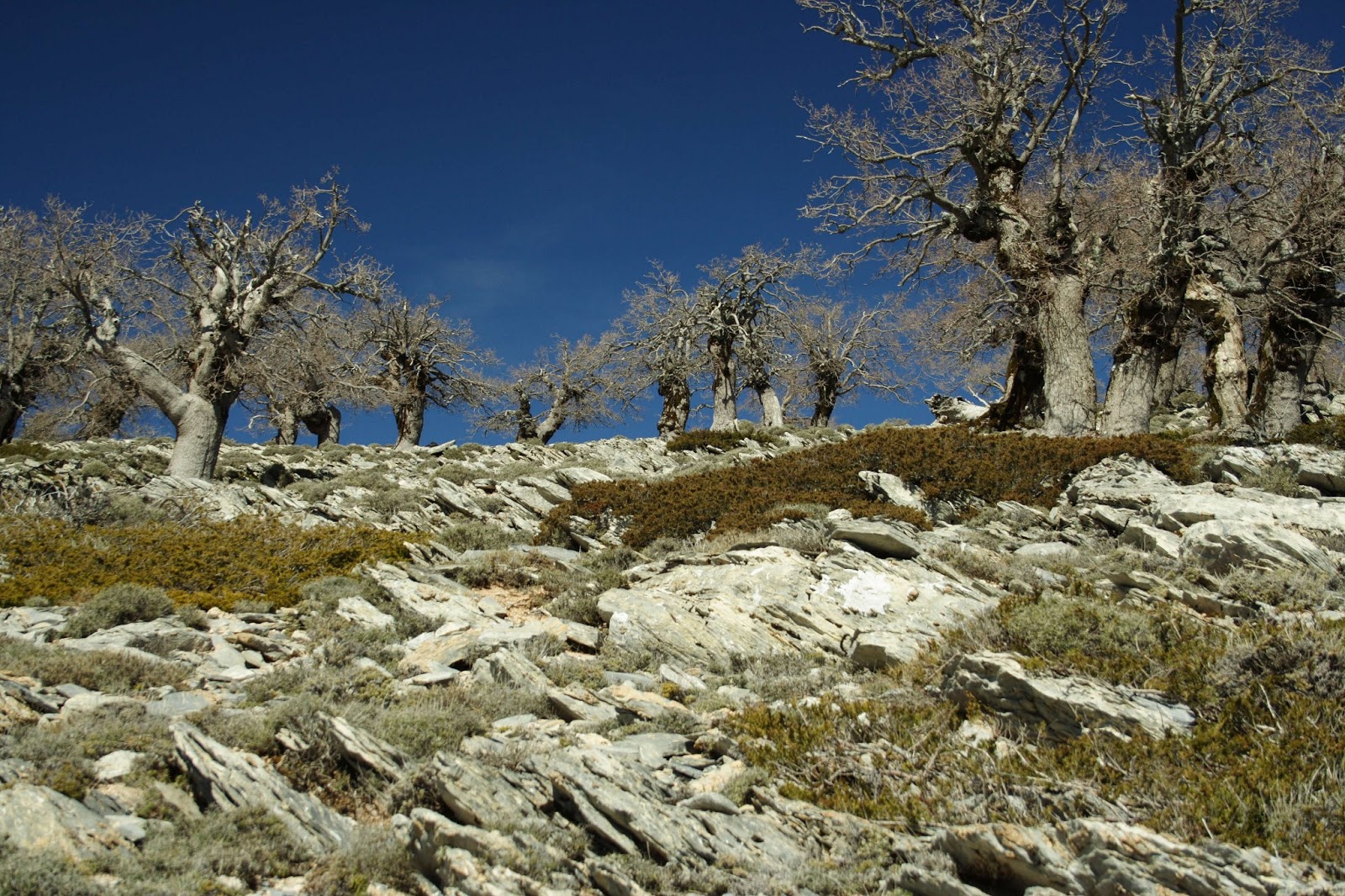 CLUB DE SENDERISMO "ANDA, ¡YA!": Ascensión al Pico Torrecilla desde ...