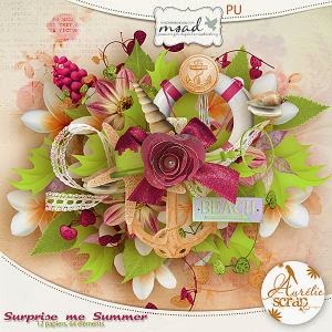 Twin-Tinas-Scrapwelt: "Surprise me summer" by Aurélie - mein Layout